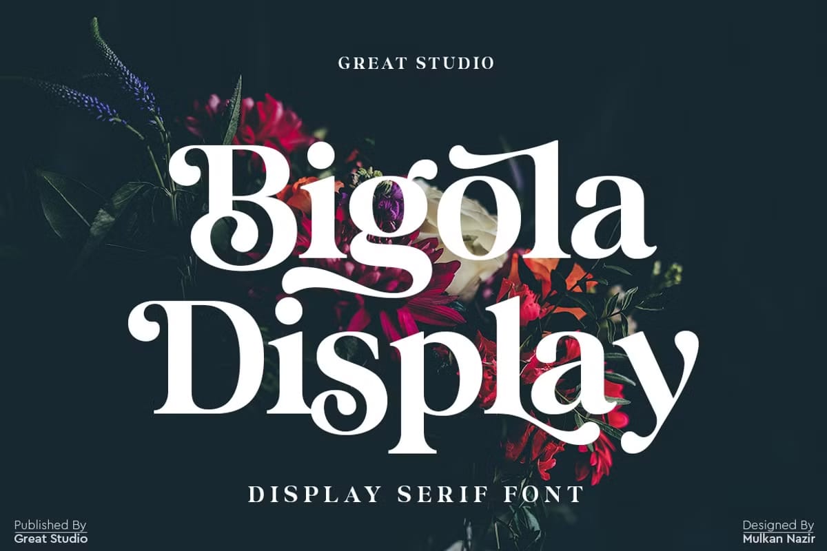 Bigola Display - Graphicas - Design Resources